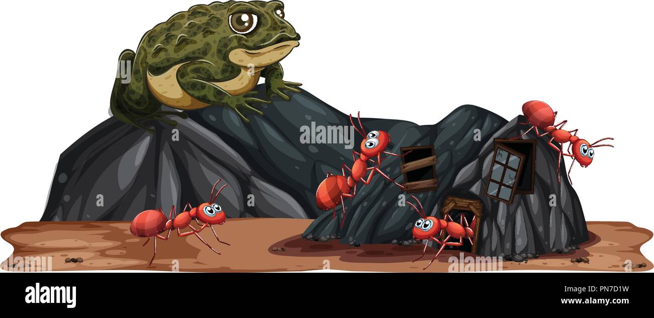 Toad looking at ants illustration Stock Vector Image & Art - Alamy