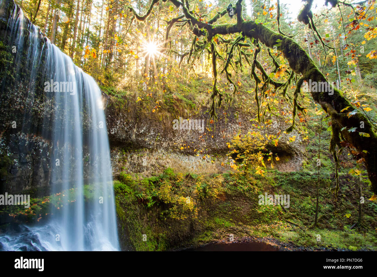 Lower South Falls in Silver Falls State Park, Oregon in autumn with sun ...