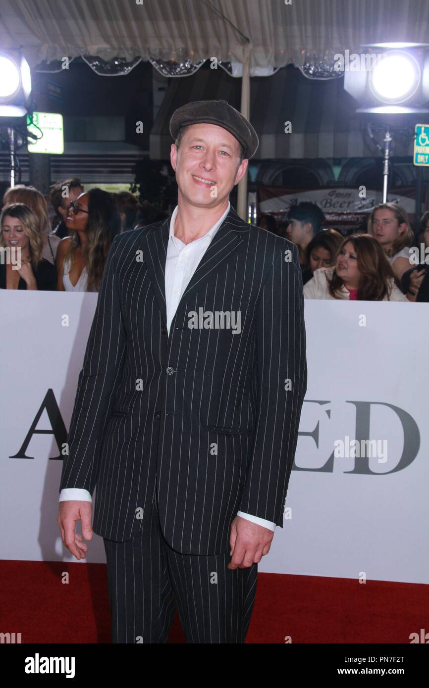 Daniel Betts 11/09/2016 Premiere of "Allied" held at the Regency ...