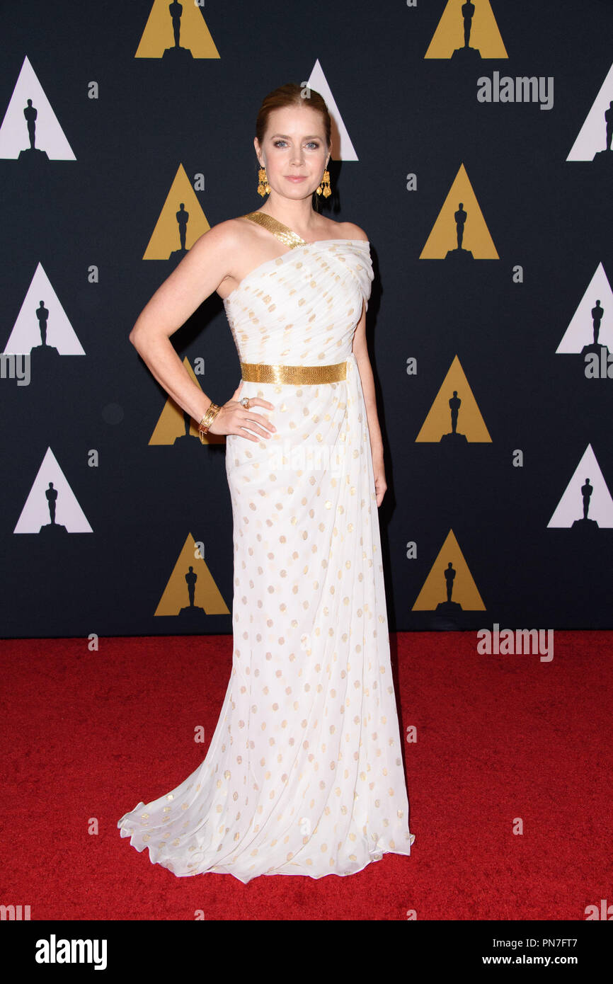 Amy Adams attends the Academy’s 8th Annual Governors Awards in The Ray ...