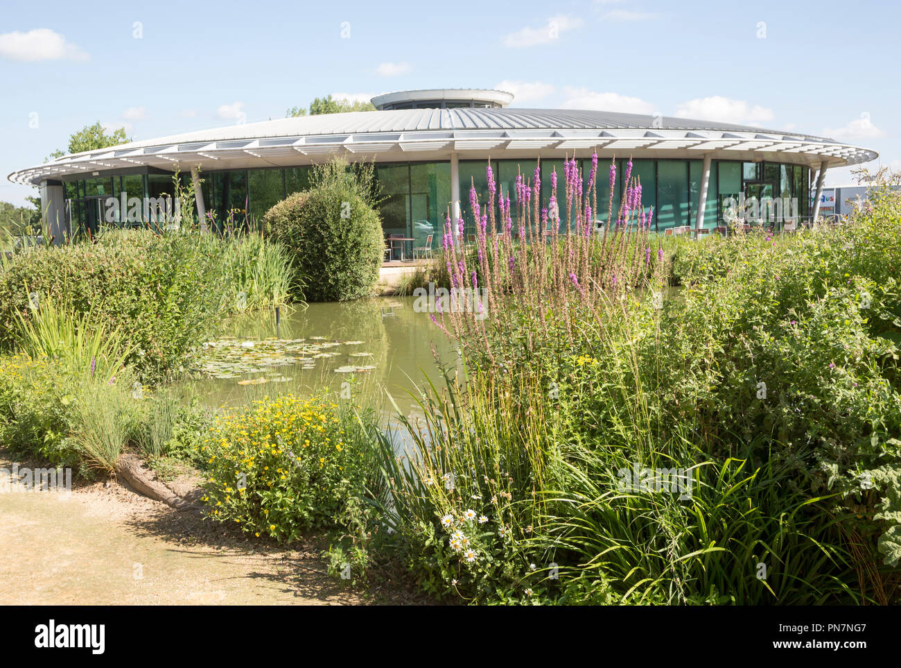Lake water feature landscaped grounds of Reading International Business ...
