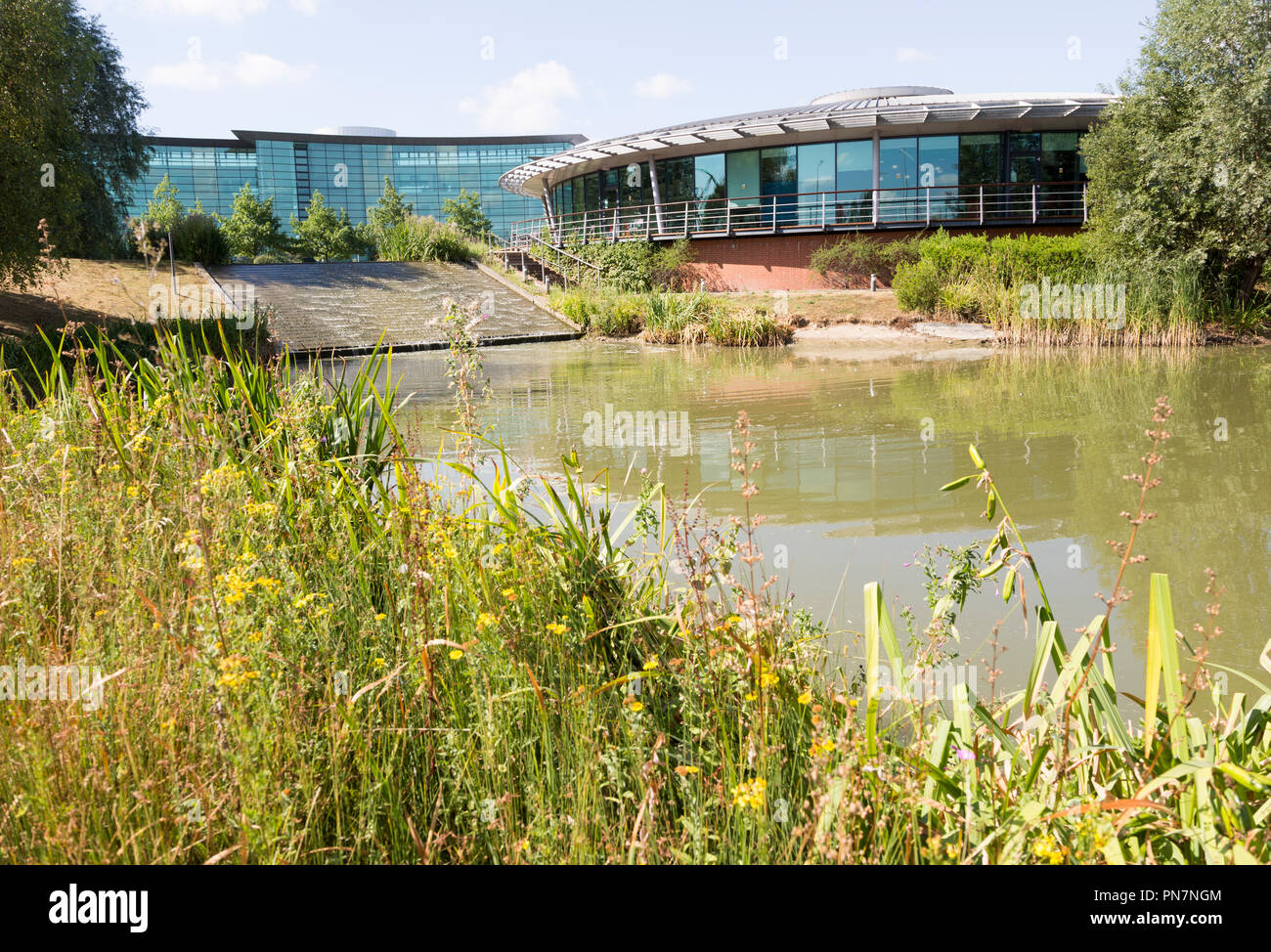 Lake water feature landscaped grounds of Reading International Business ...