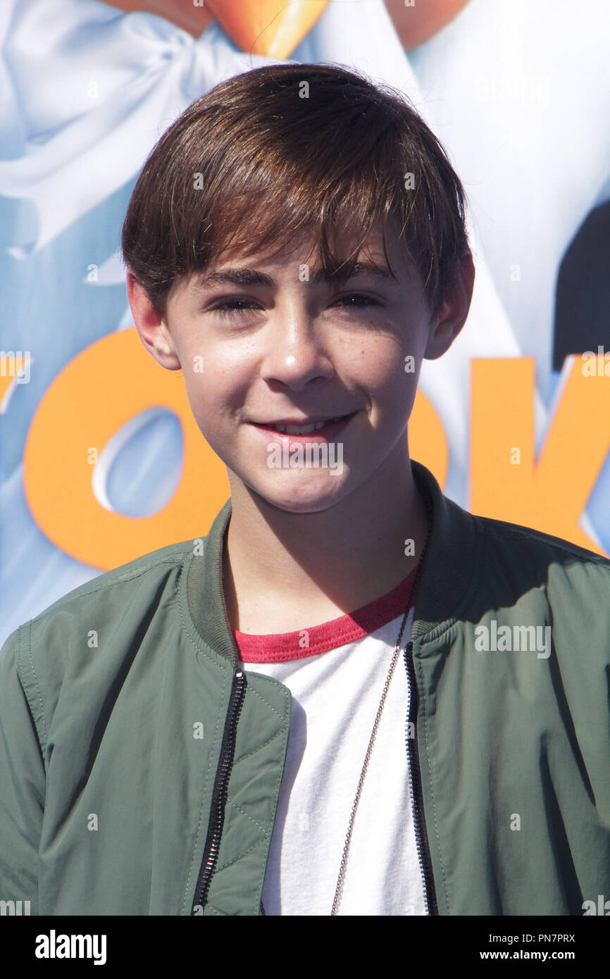 Anton starkman hi-res stock photography and images - Alamy