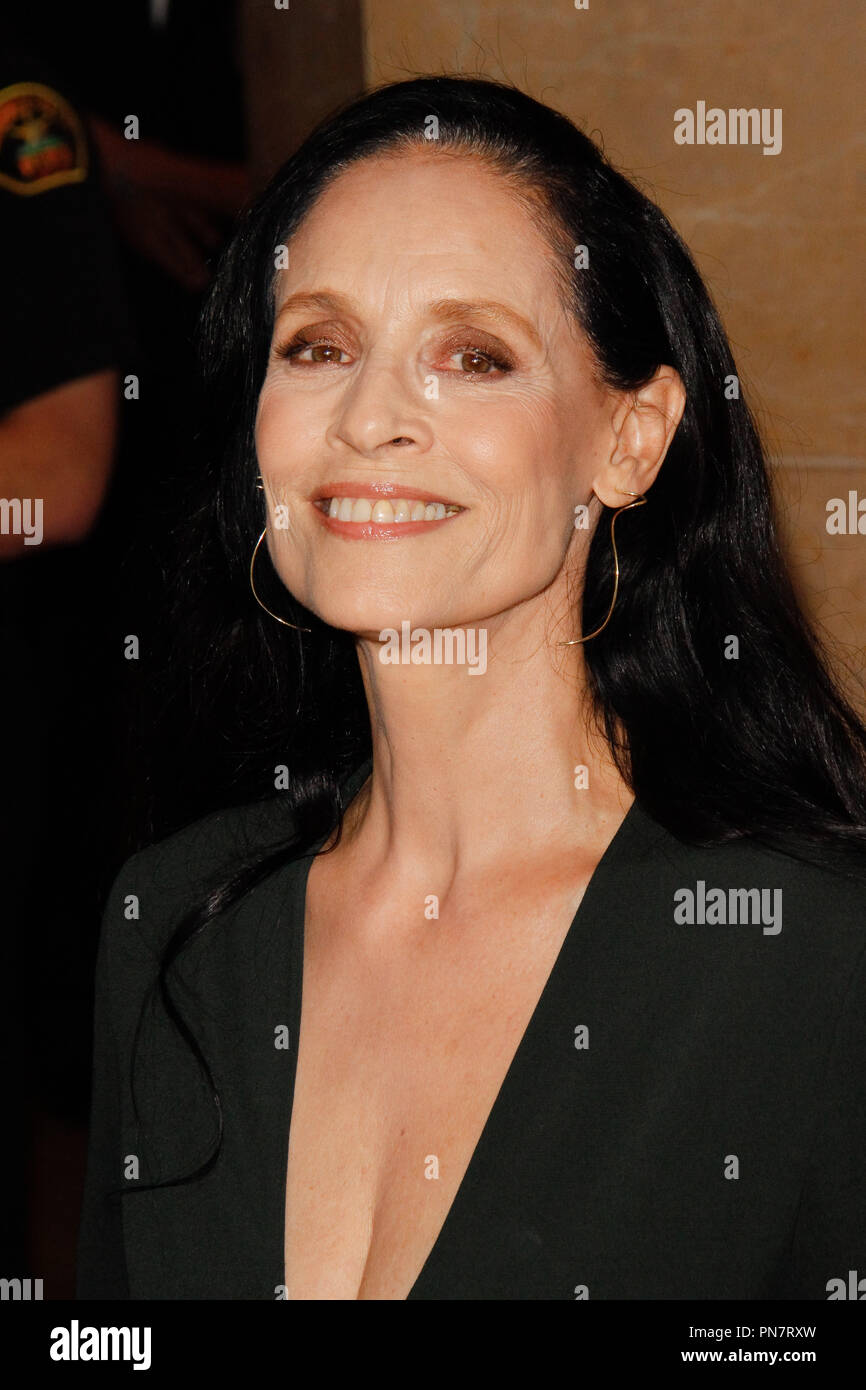 Sonia Clarke's Instagram, Twitter & Facebook on IDCrawl