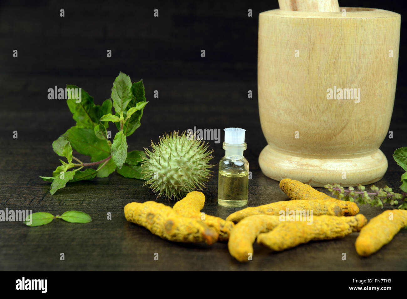 Holy Basil, Turmeric, Datura Fruit with Herbal oil and wooden mortar on ...