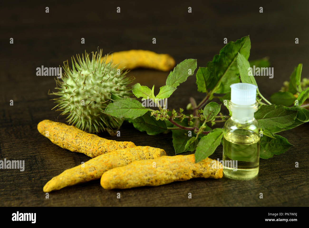 Holy Basil, Turmeric, Datura Fruit with Herbal oil and wooden mortar on ...