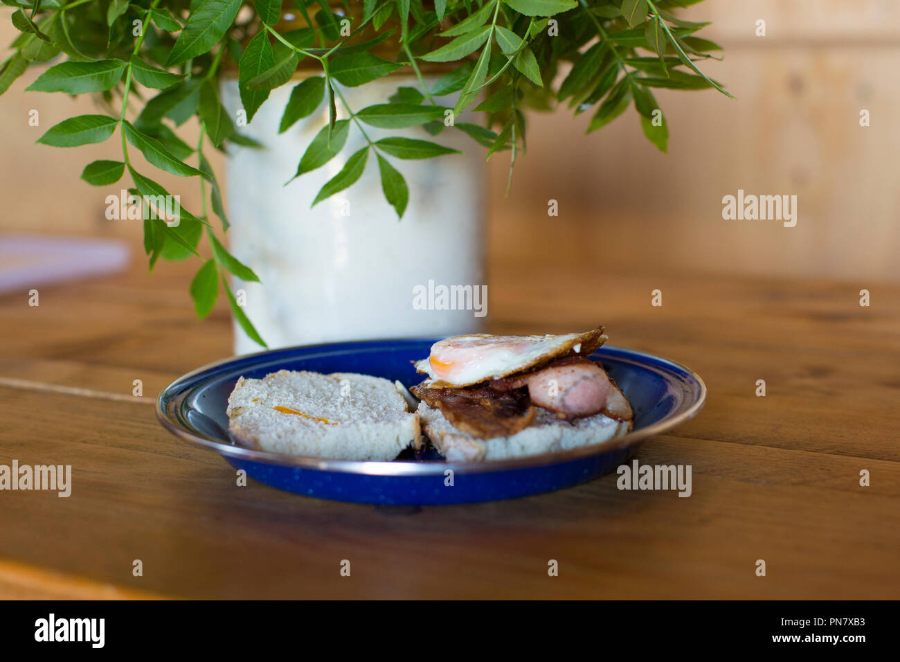 Egg and bacon plant hi-res stock photography and images - Alamy