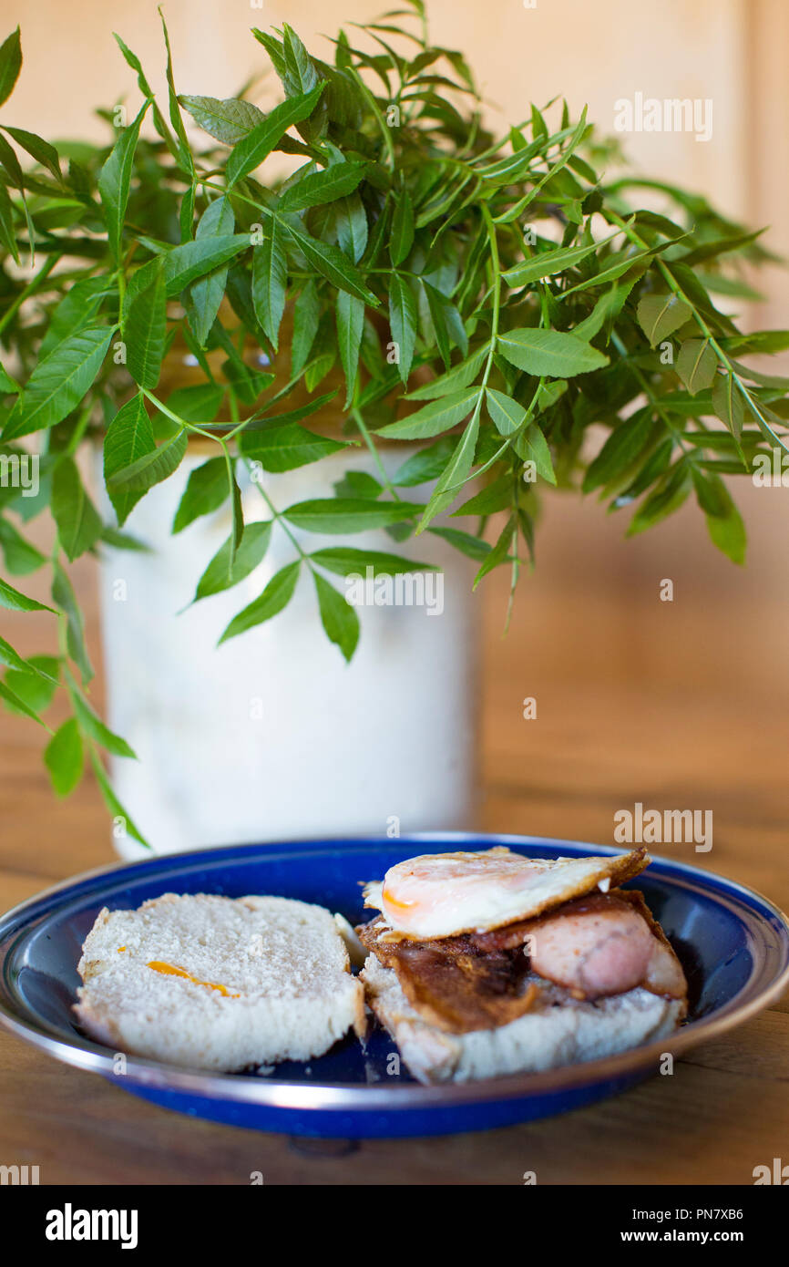 Egg and bacon plant hi-res stock photography and images - Alamy