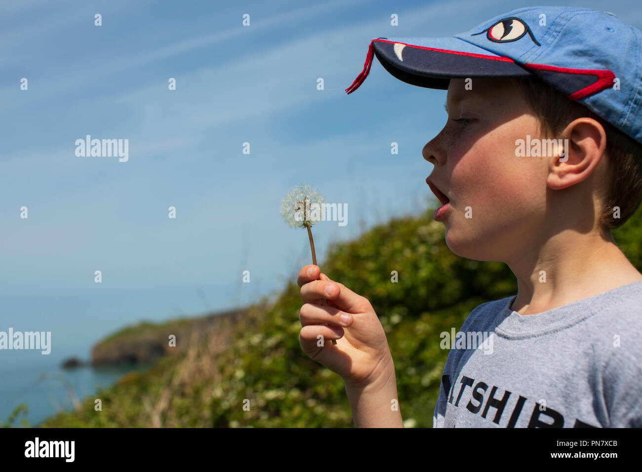 Boy and flower hi-res stock photography and images - Alamy