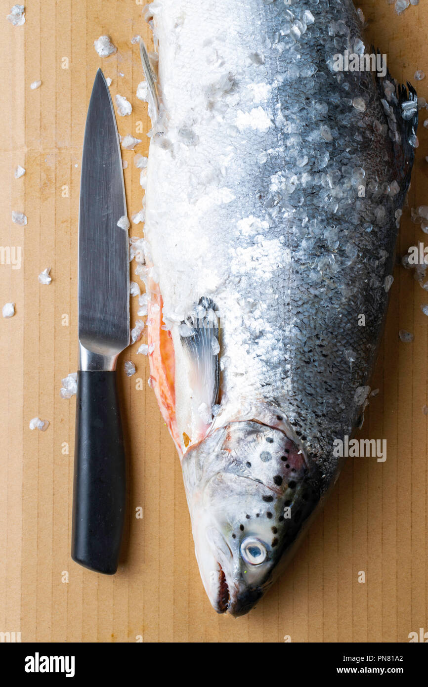 Large fresh salmon, knife and scissors. Preparation for cutting fish ...