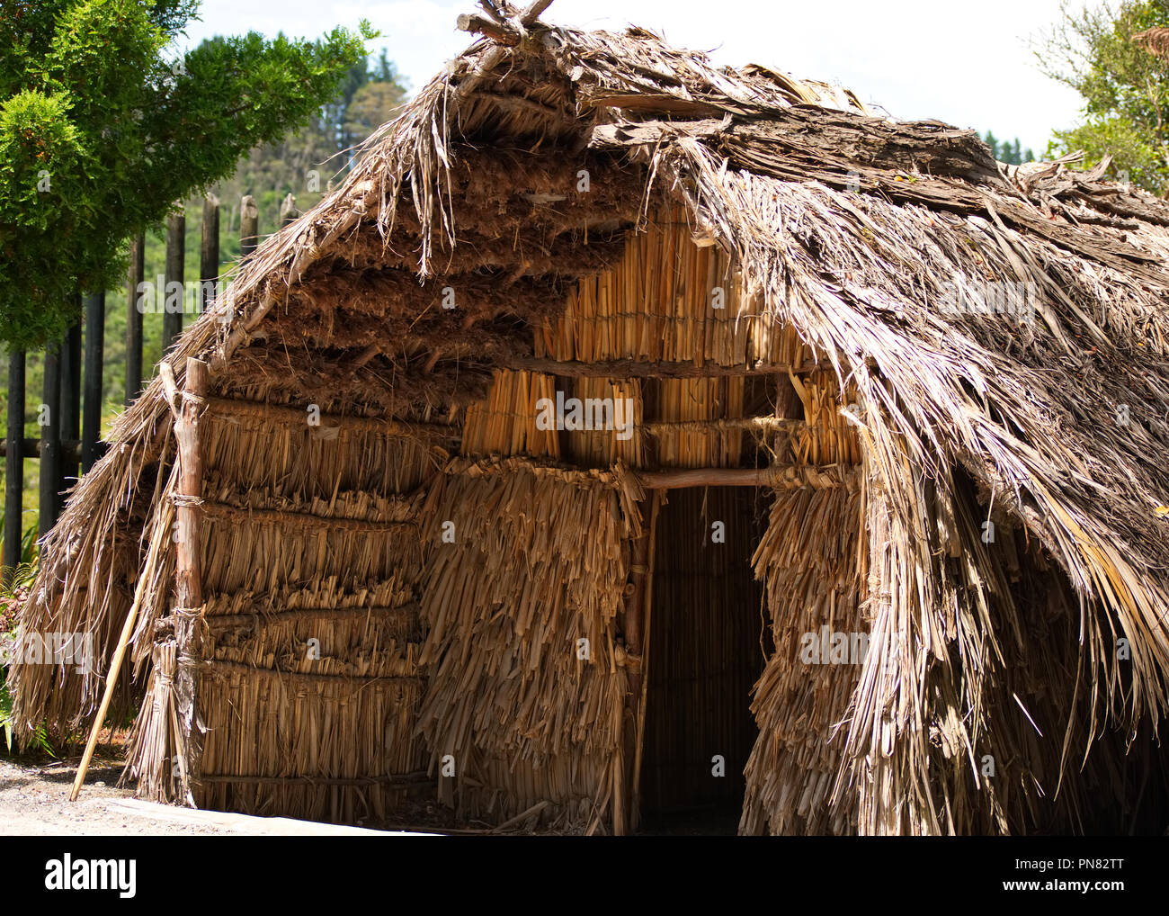 Maori house hi-res stock photography and images - Alamy