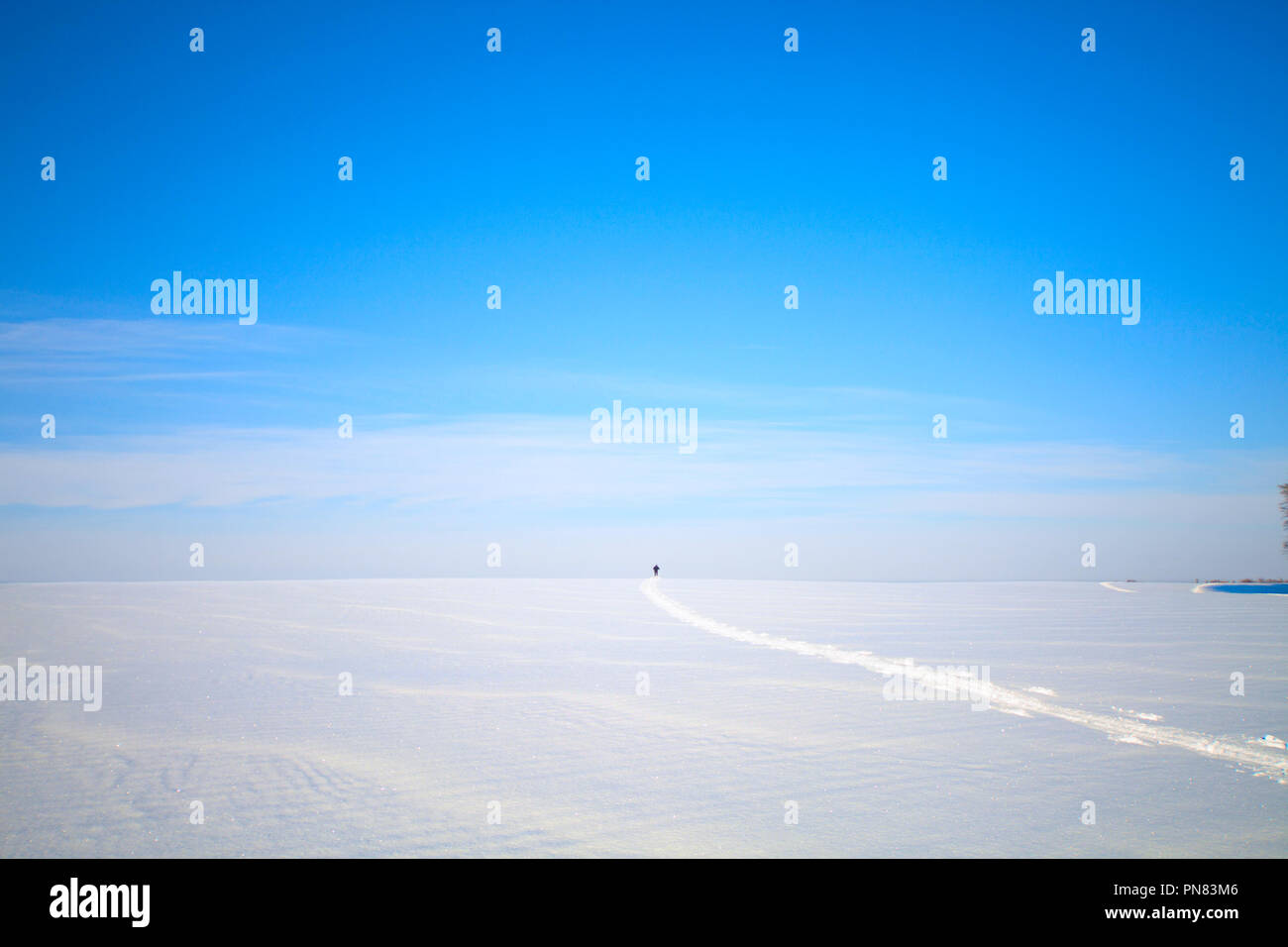 snowy field in winter. Winter landscape with snowy fields Stock Photo ...