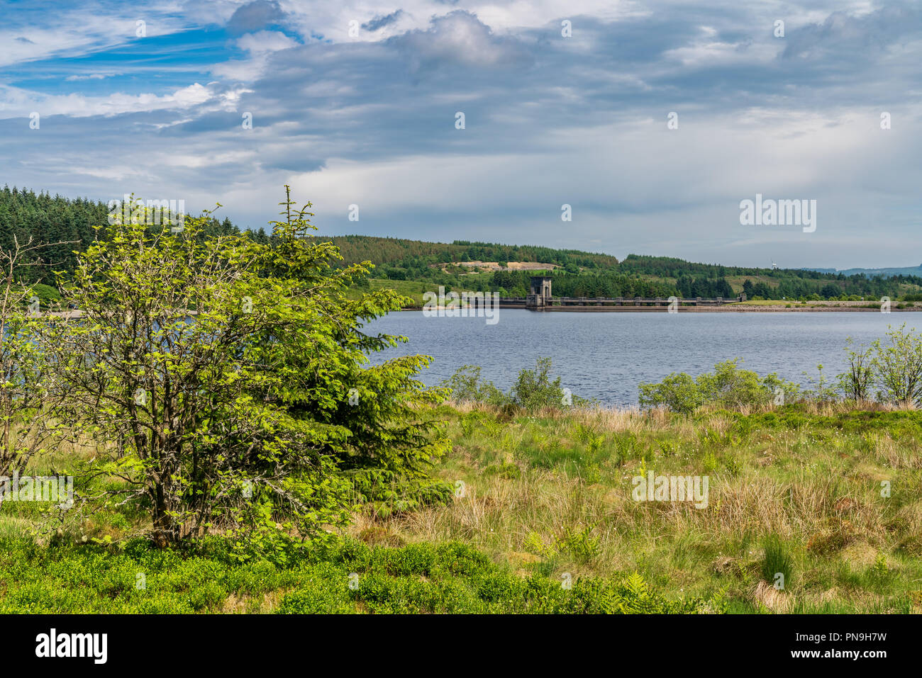 View over the Alwen Reservoir with the dam in the background, Conwy ...