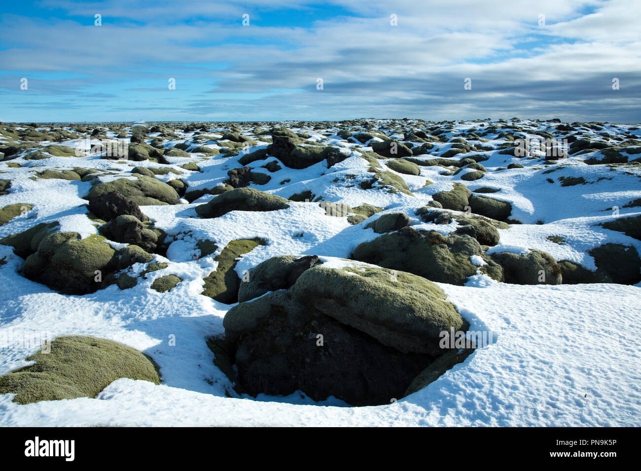 Volcanic lava mounds field like lunar landscape between Vik and ...