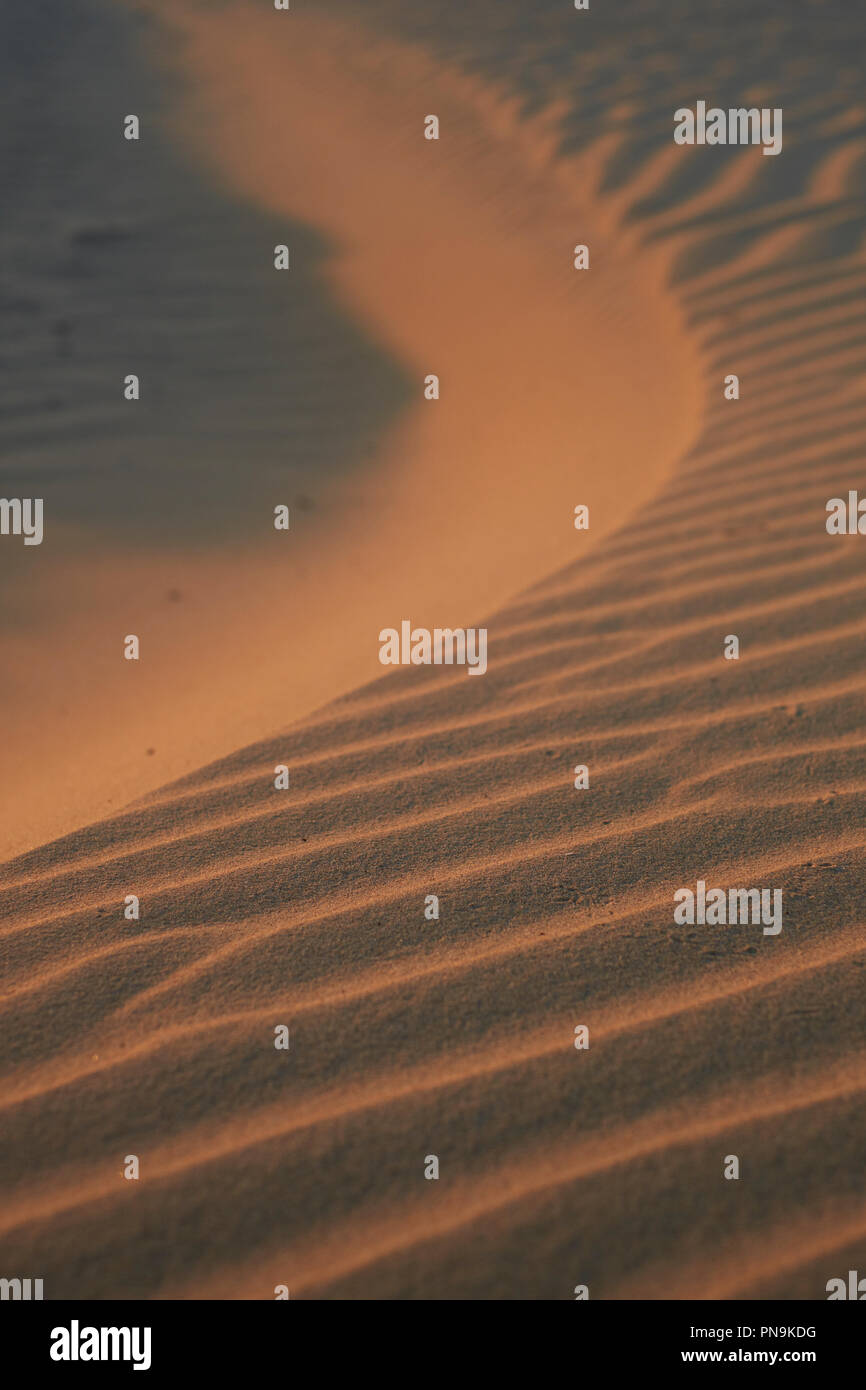 Ripples in the sand - wind sculptured sand lit by warm sunlight Stock ...