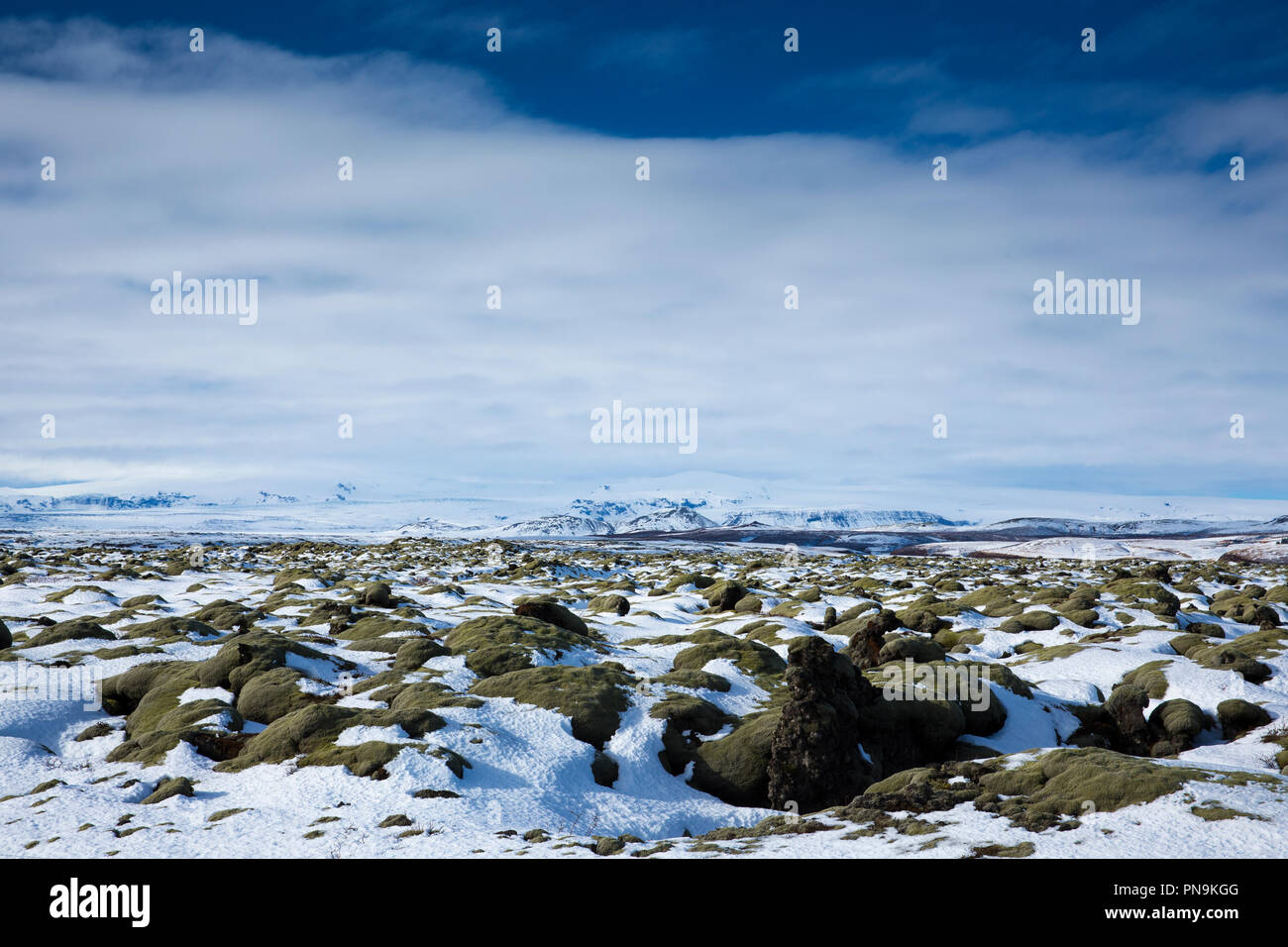 Volcanic lava mounds field like lunar landscape between Vik and ...