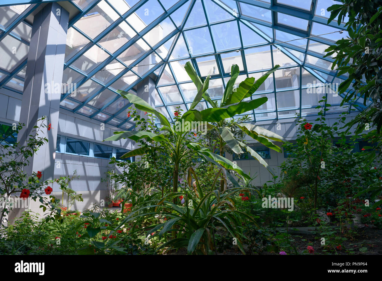 Inner yard covered by the glass pyramidal dome above winter garden at ...