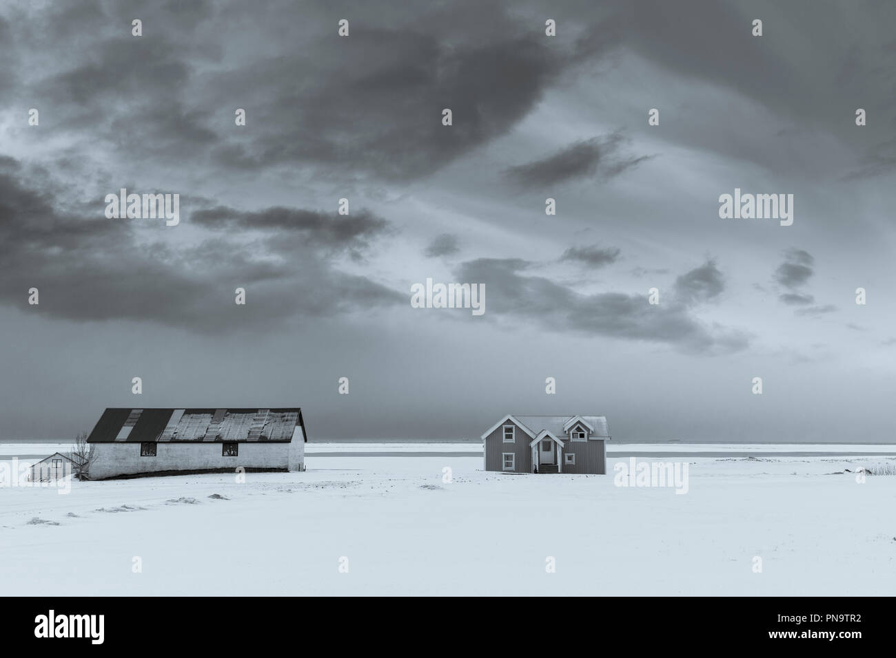 Traditional typical Icelandic corrugated iron dwelling at Hali Country ...
