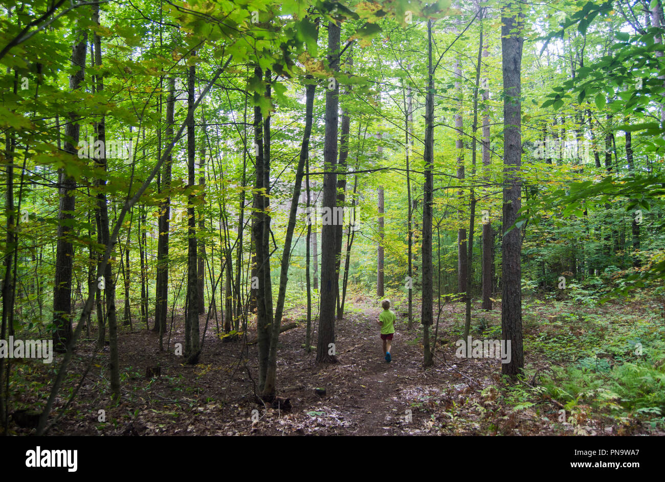 Child runs in forest hi-res stock photography and images - Alamy