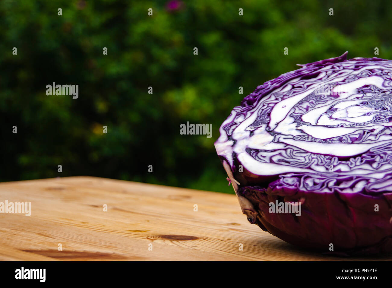 Cut red cabbage on cutting board. Culinary still life outdoors Stock ...