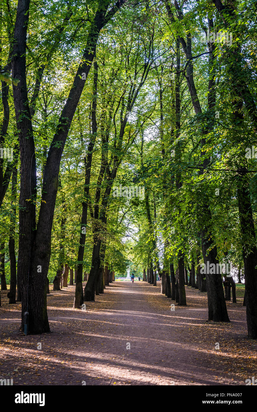 Tree avenue, Royal Palace Park, Oslo, Norway Stock Photo - Alamy