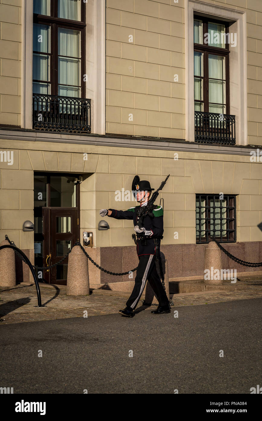 Soldier on duty at the Royal Palace, Oslo, Norway Stock Photo - Alamy