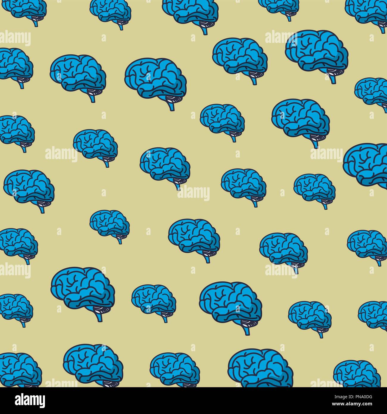 Brain Pattern Vector