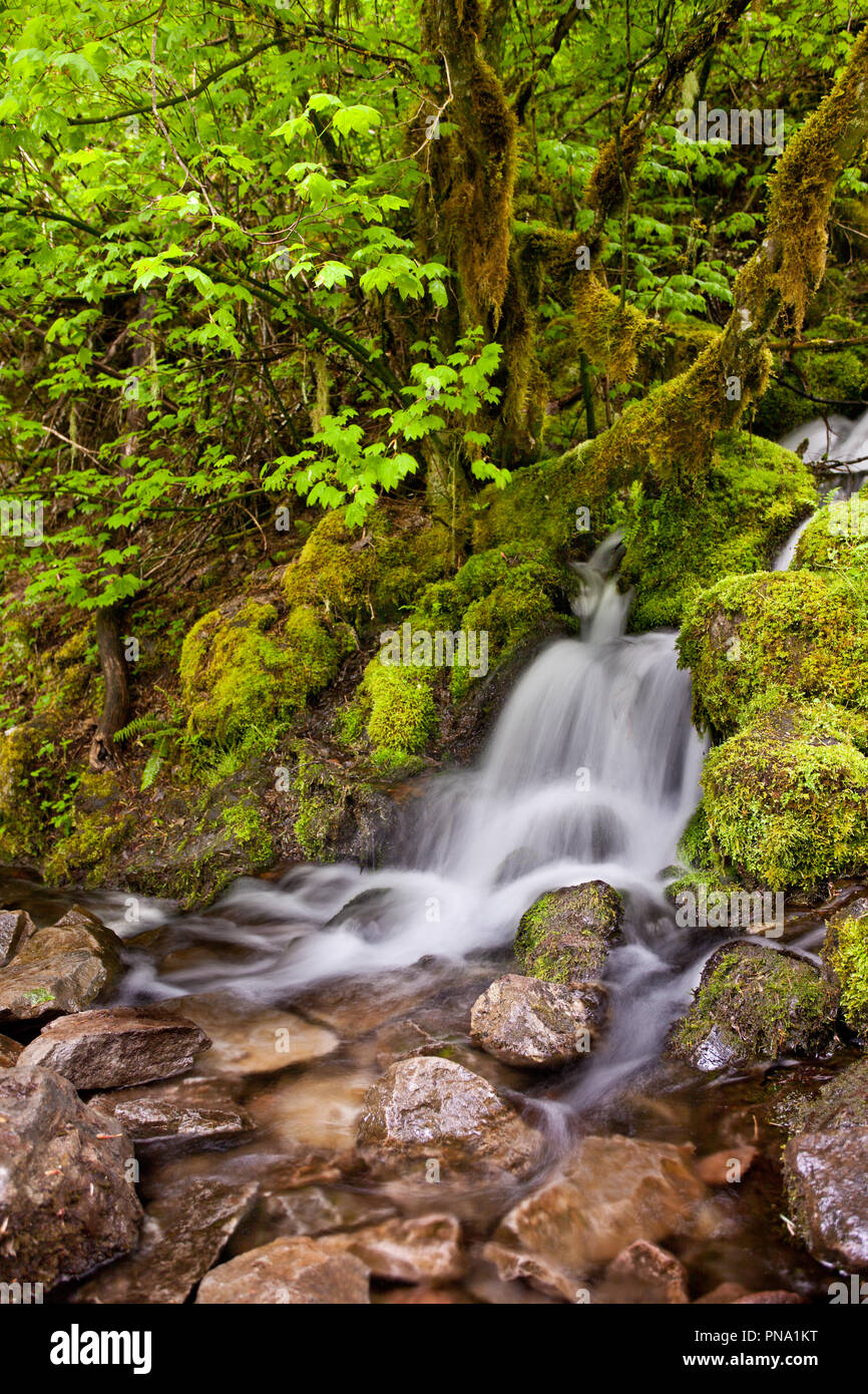 Cascade and waterfall hi-res stock photography and images - Alamy