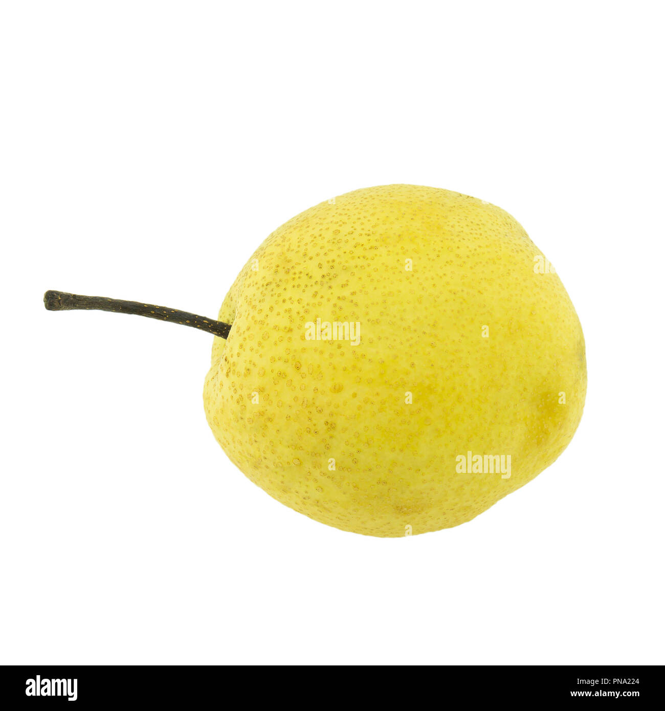 Chinese pear isolated on white background Stock Photo - Alamy