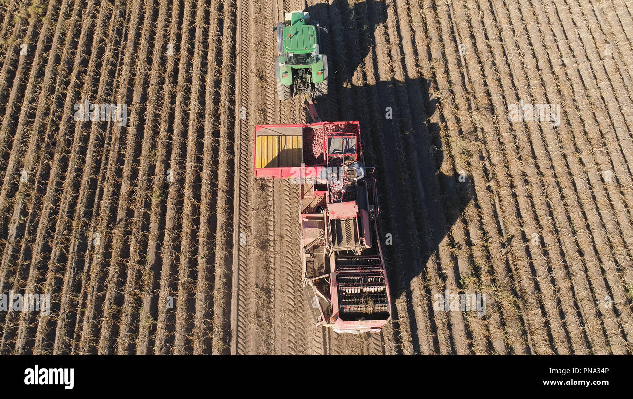 potatoes harvesting machine with tractor in farm land for harvesting ...
