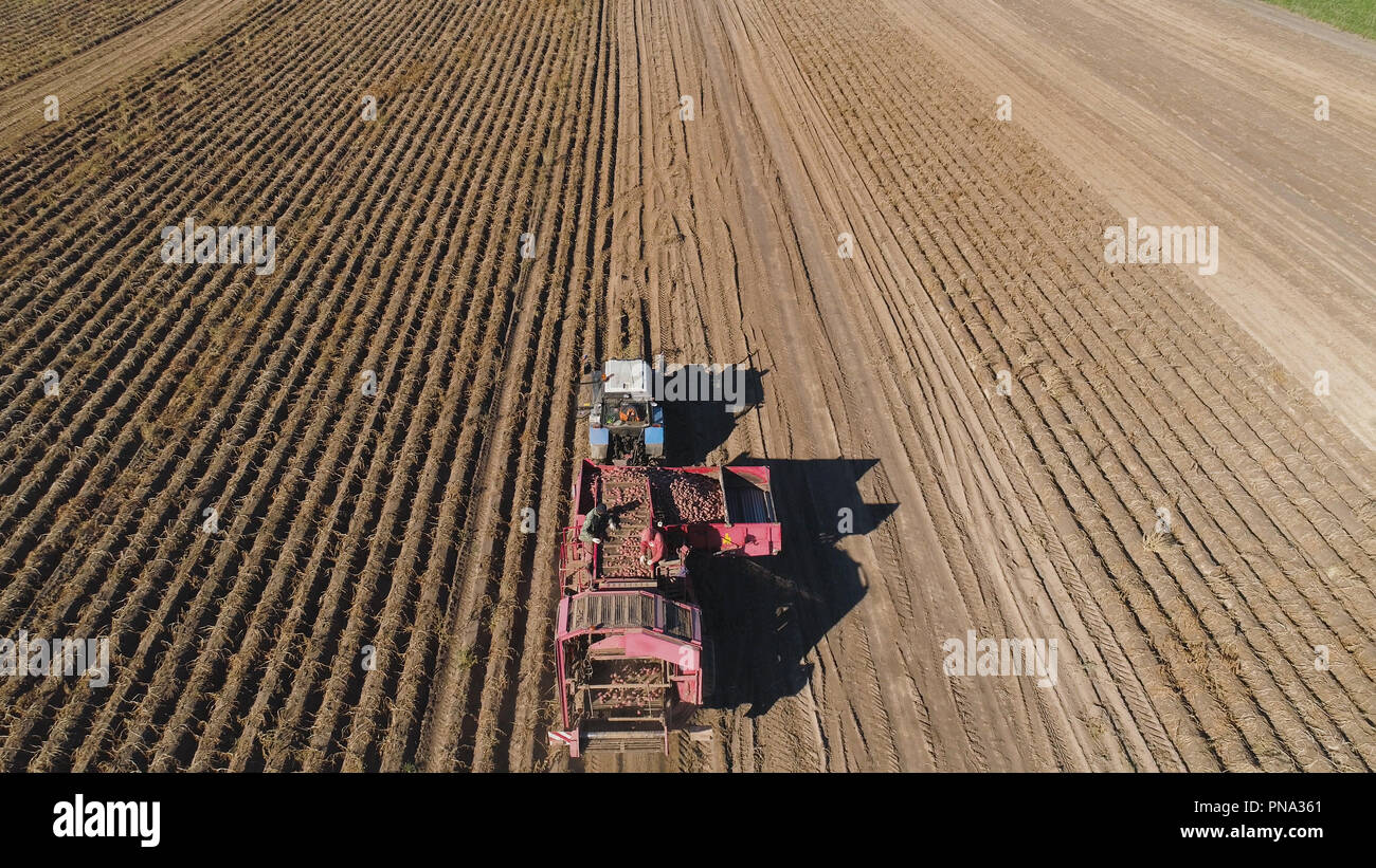 potatoes harvesting machine with tractor in farm land for harvesting ...