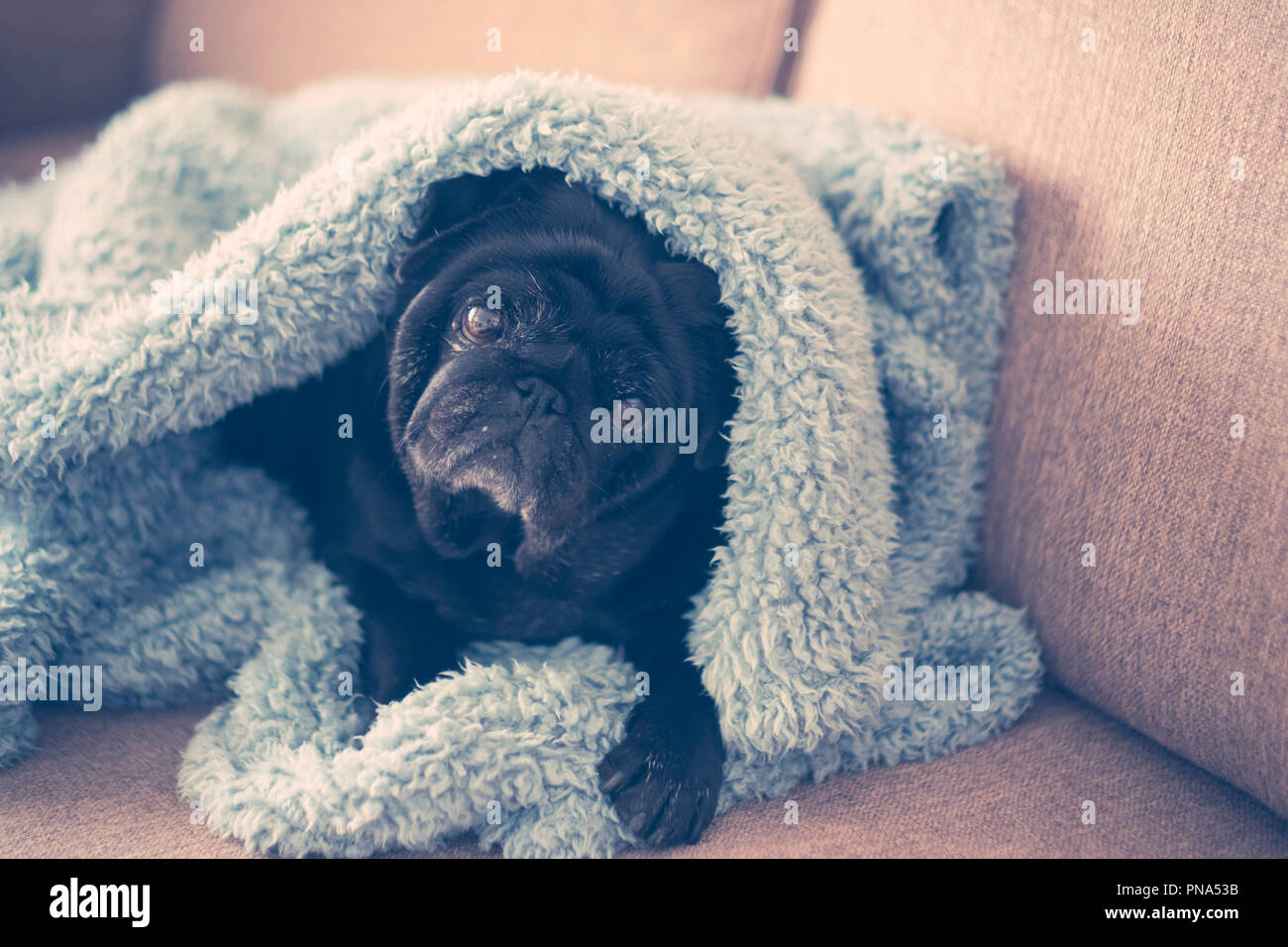 Rapper wallpaper hi-res stock photography and images - Alamy