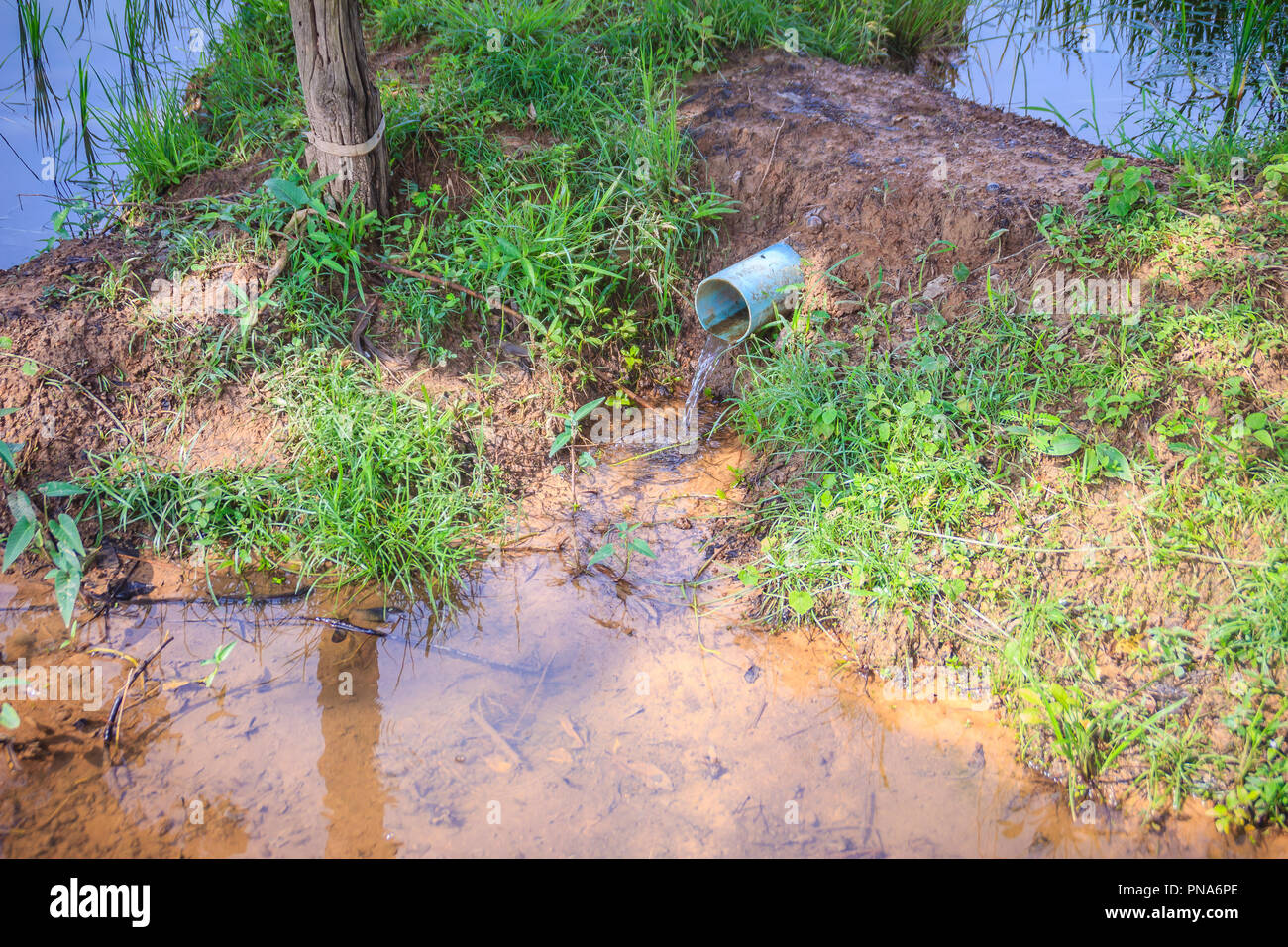 Water flow on blue PVC drainage pipe in rice farm. Farmer used PVC pipe ...
