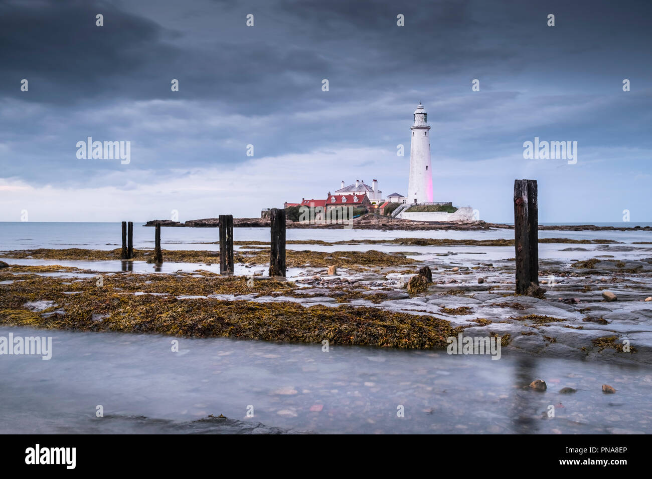 St Marys Lighthouse at Whitley Bay, Northumberland, England, UK Stock ...