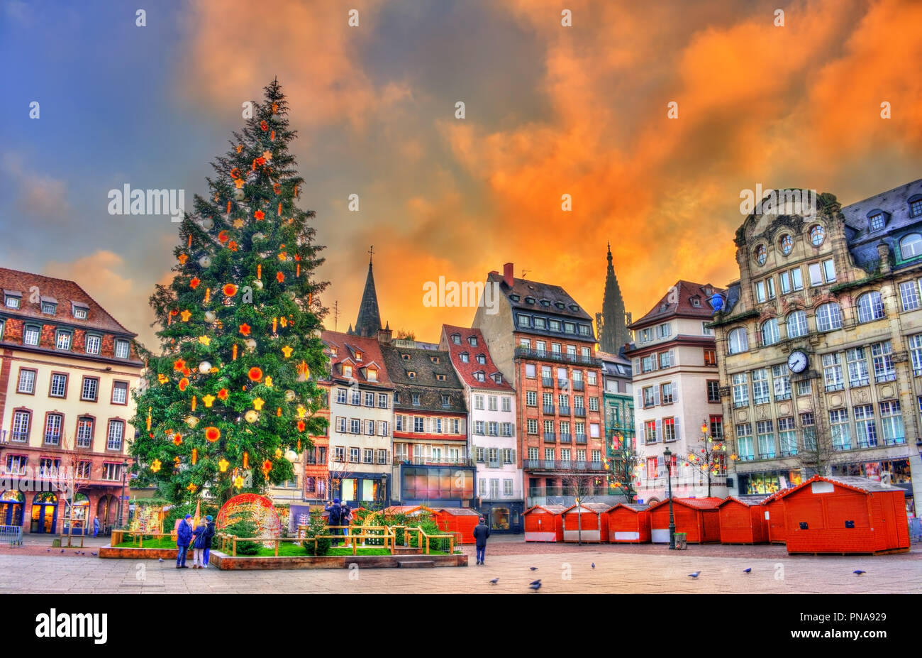 Christmas tree at the Christmas Market in Strasbourg, France Stock ...
