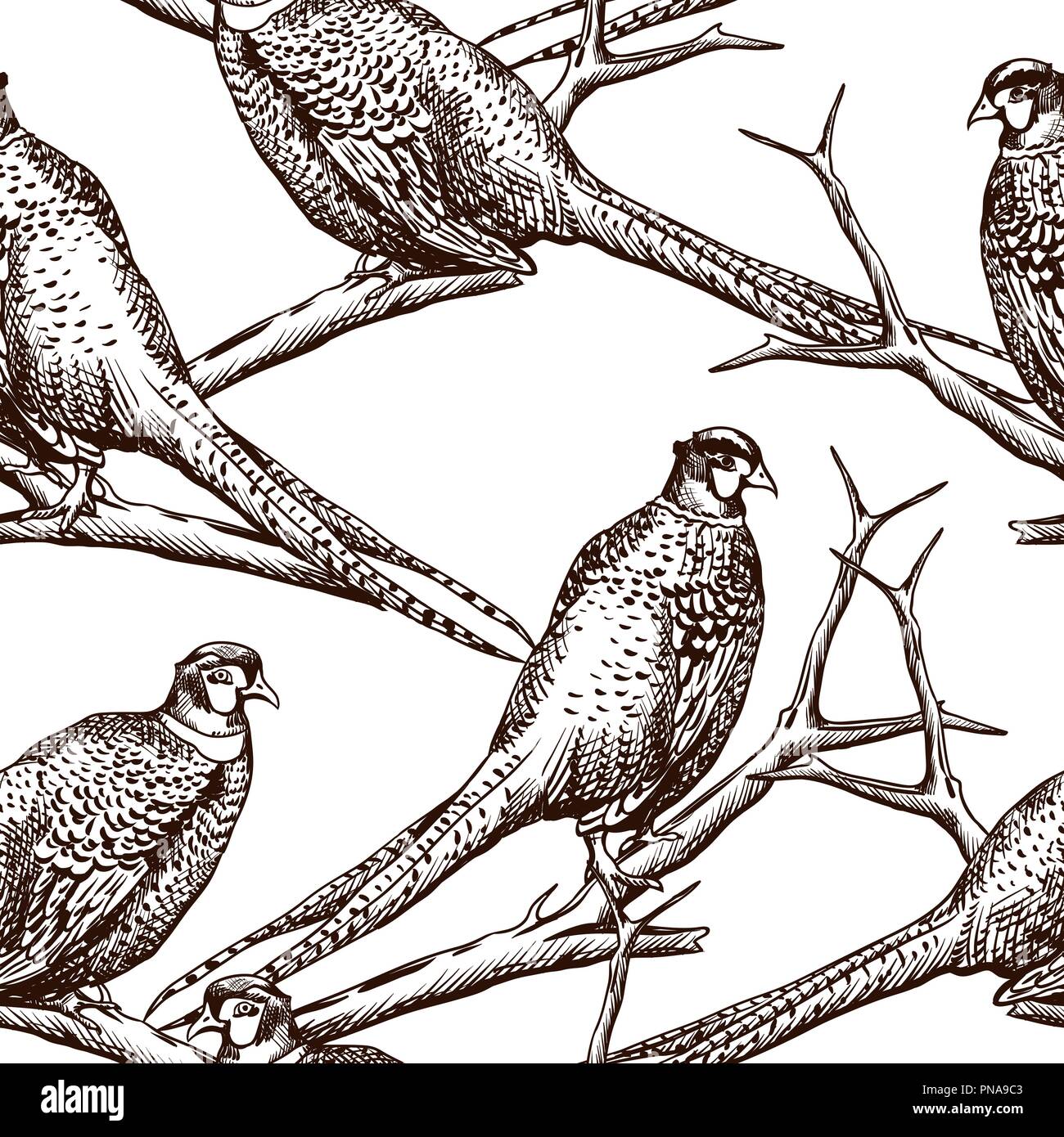 Silhouette Of Pheasant High Resolution Stock Photography and Images - Alamy