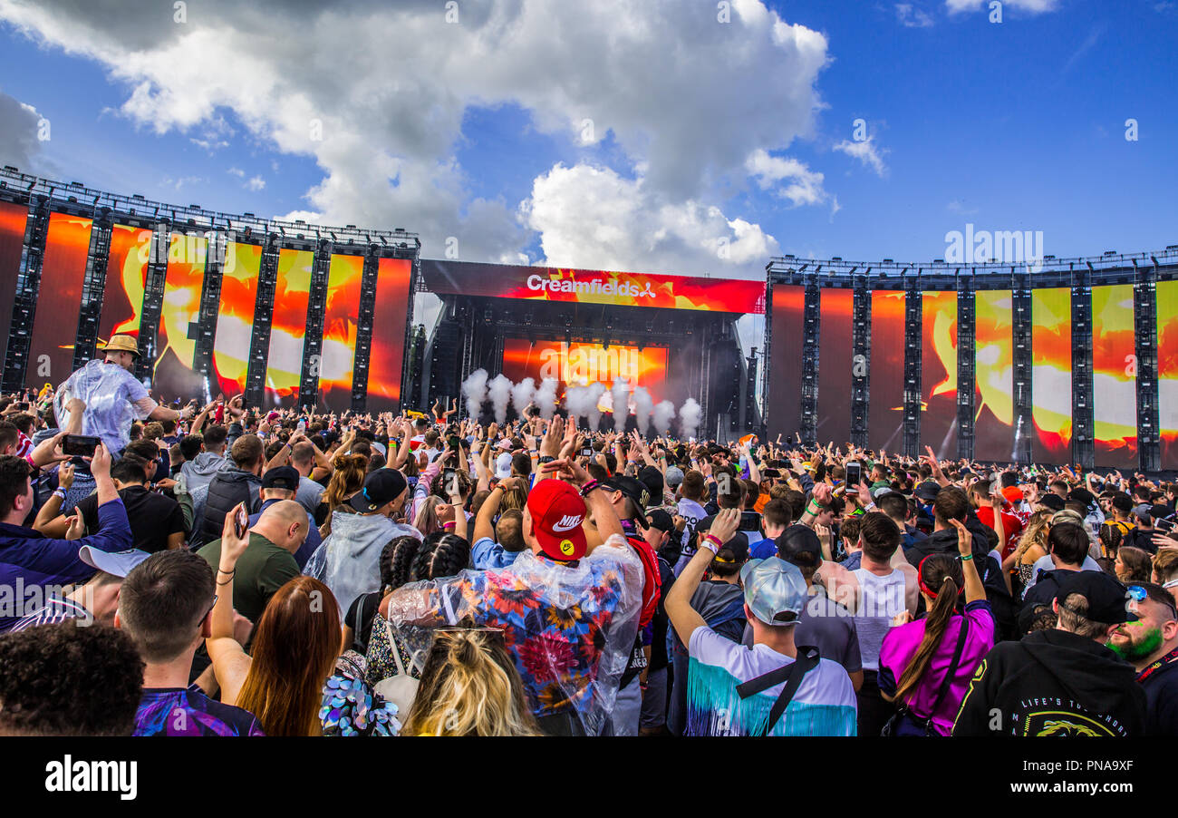 Edm Crowd Tumblr