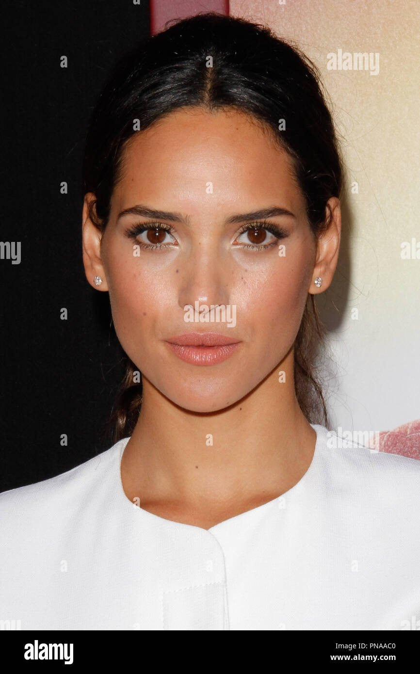 Adria Arjona's Instagram, Twitter & Facebook on IDCrawl