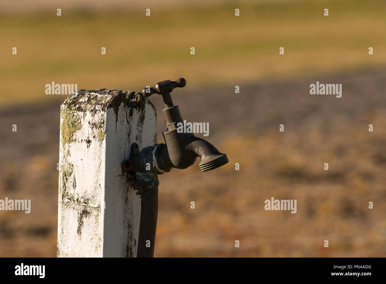 Copper taps hi-res stock photography and images - Alamy