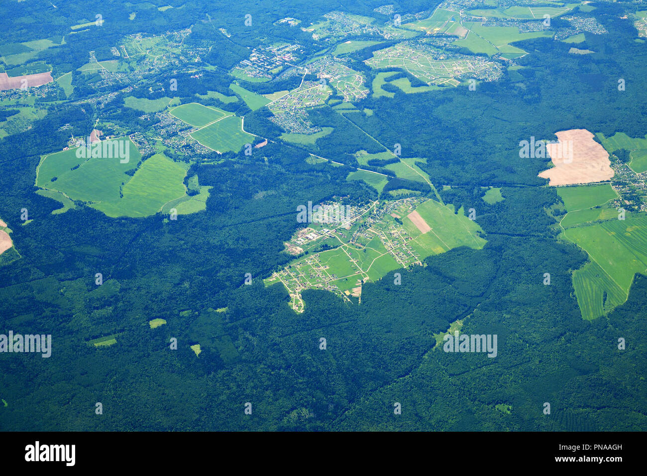 Plain trees hi-res stock photography and images - Alamy