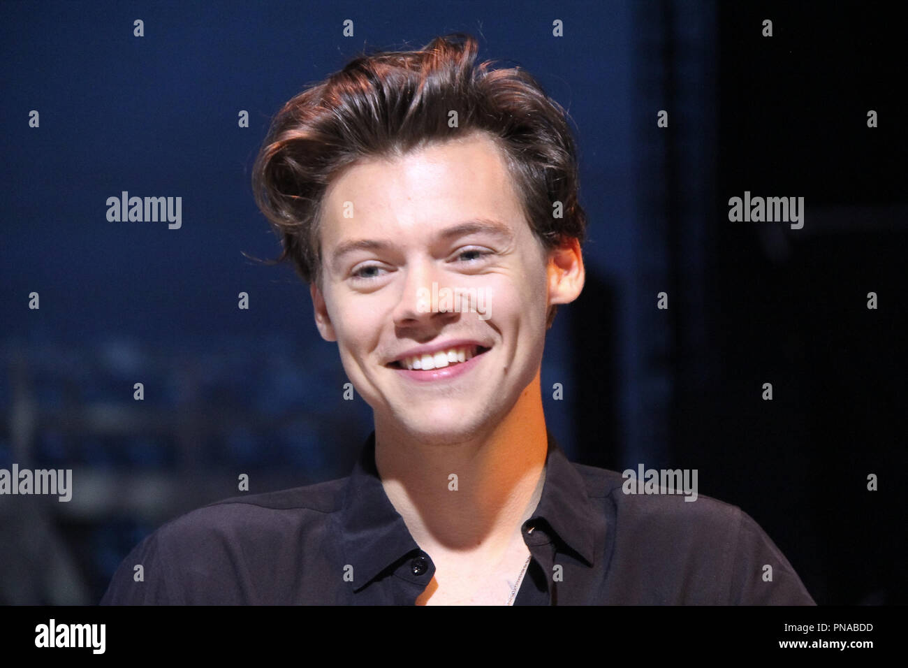 Harry Styles 07/09/2017 "Dunkirk" Press Conference held at the Barker ...