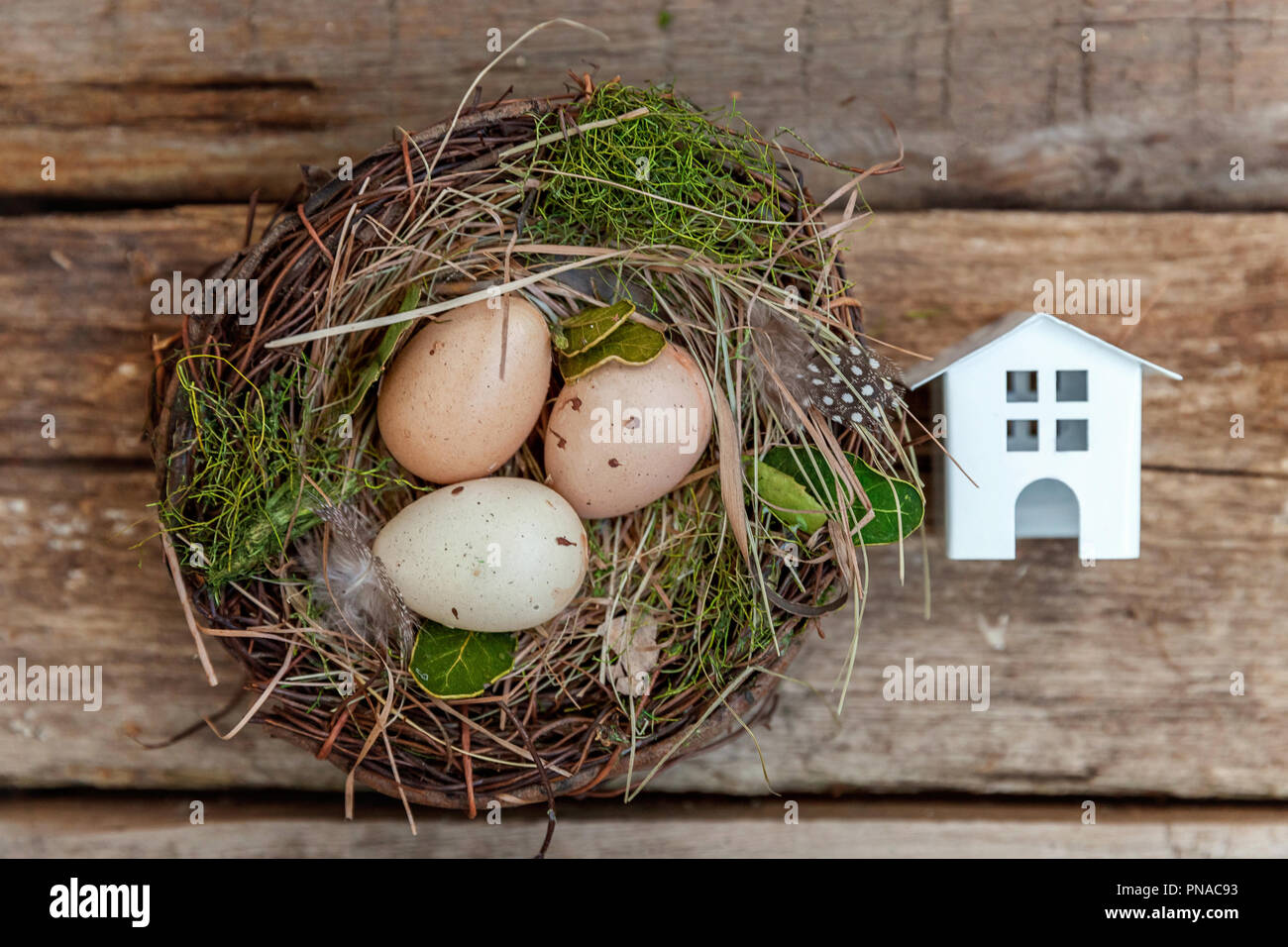 Miniature white toy model house rests in nest with eggs on rustic old ...