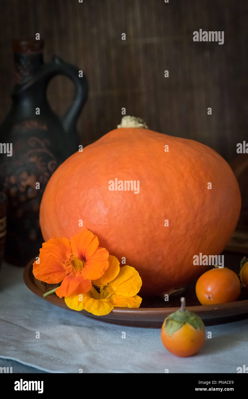 Autumn still life with a large pumpkin and persimmon in ceramic dishes ...