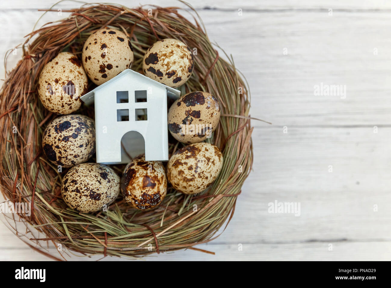 Miniature white toy model house rests in nest with eggs on rustic old ...