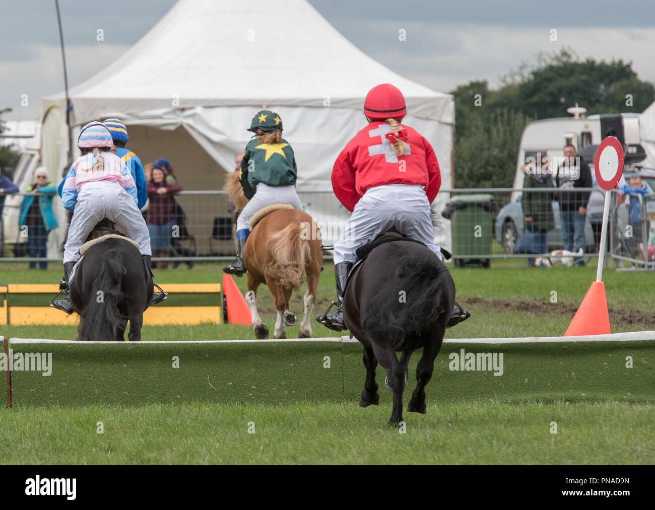 Cheshire Country Fair 2018 - Shetland Pony Racing Stock Photo - Alamy