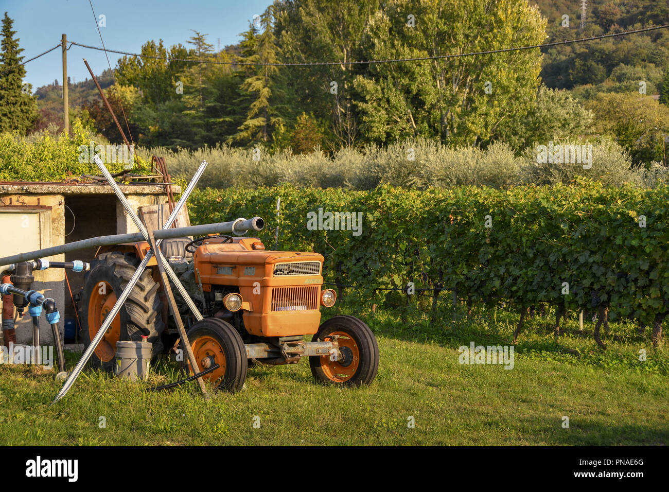 Old tractor in vineyard hi-res stock photography and images - Alamy