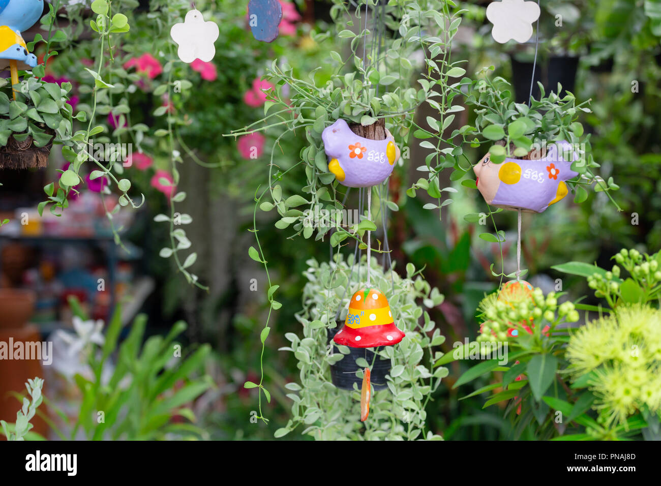 Colorful flowers for hanging to decorate the garden Stock Photo - Alamy