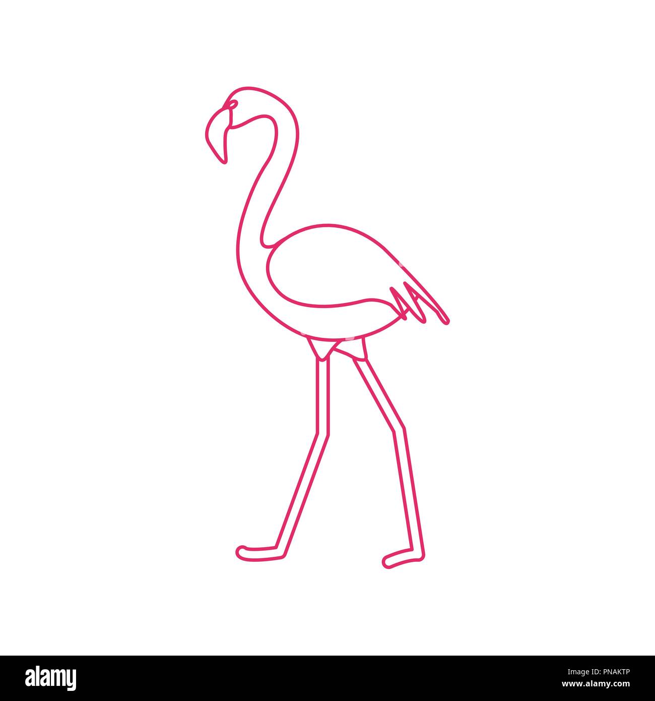 Vector illustration with Flamingo bird. Design for poster or print ...