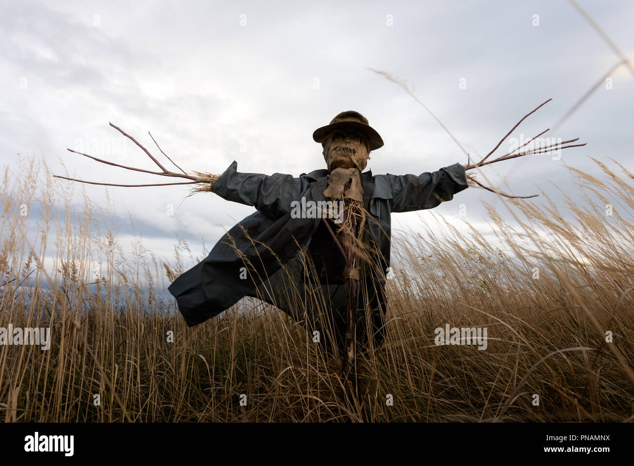 Scary scarecrow in a hat Stock Photo - Alamy
