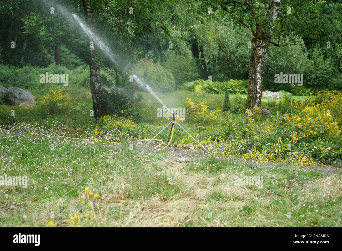 Public well maintained park in Germany in the summer to recover Stock ...